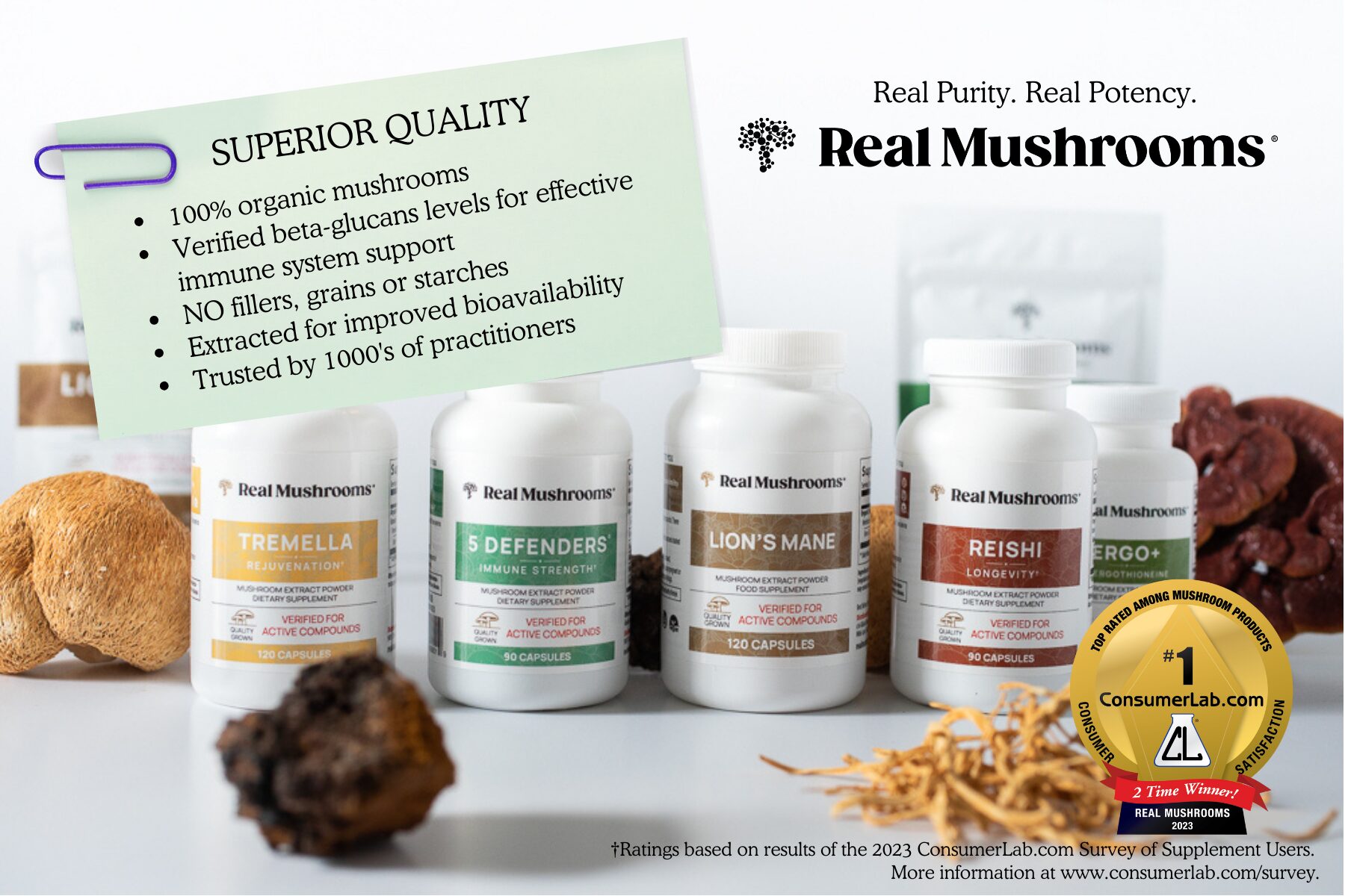 Best Mushroom Supplements 2026: Expert Review (Real Mushrooms ...
